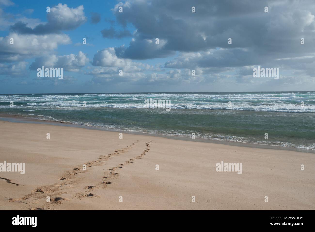 Walk in only beach from Aire River Campgrounds in the Great Otway ...