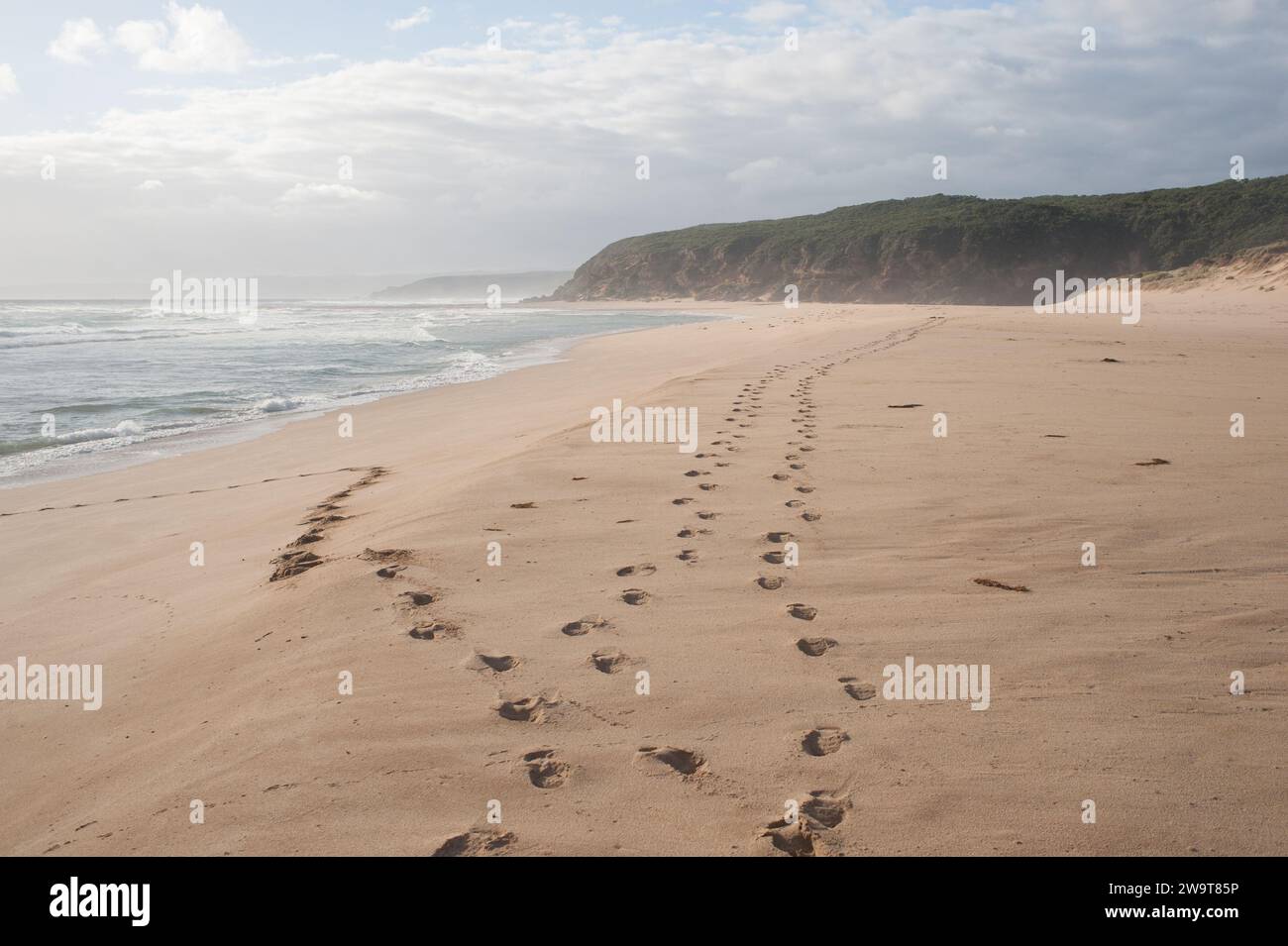 Walk in only beach from Aire River Campgrounds in the Great Otway ...