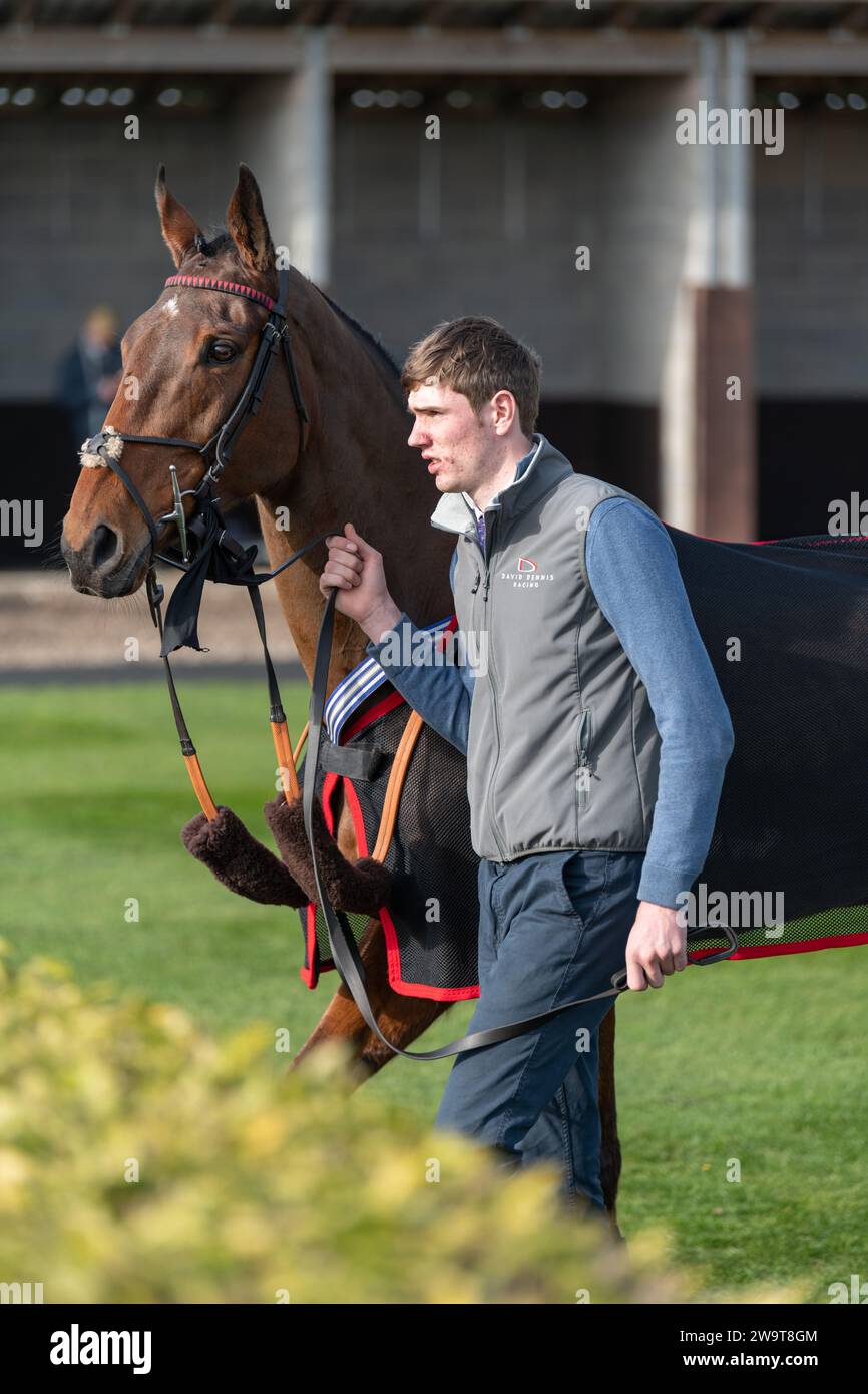 Broken Quest being walked in the pre-parade ring Stock Photo - Alamy