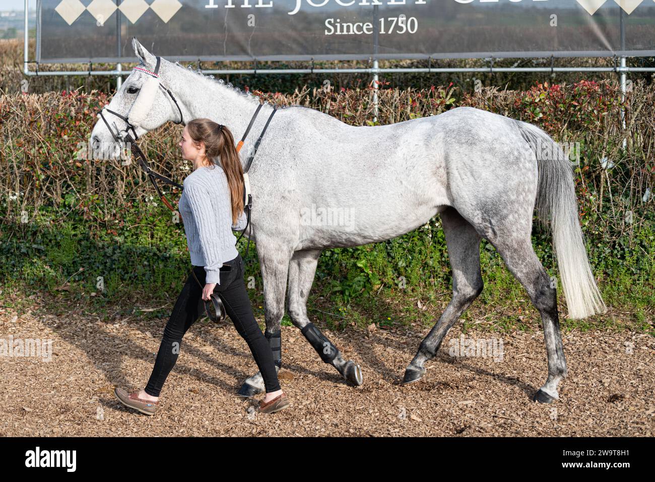 Tikk Tock Boom, ridden by Tom Scudamore and trained by Ian Williams ...