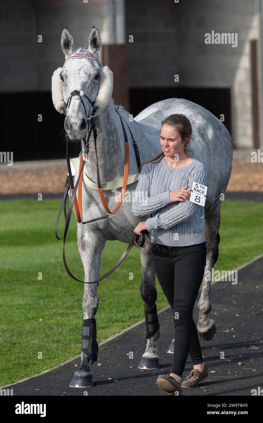 Tom scudamore 2022 hi-res stock photography and images - Alamy