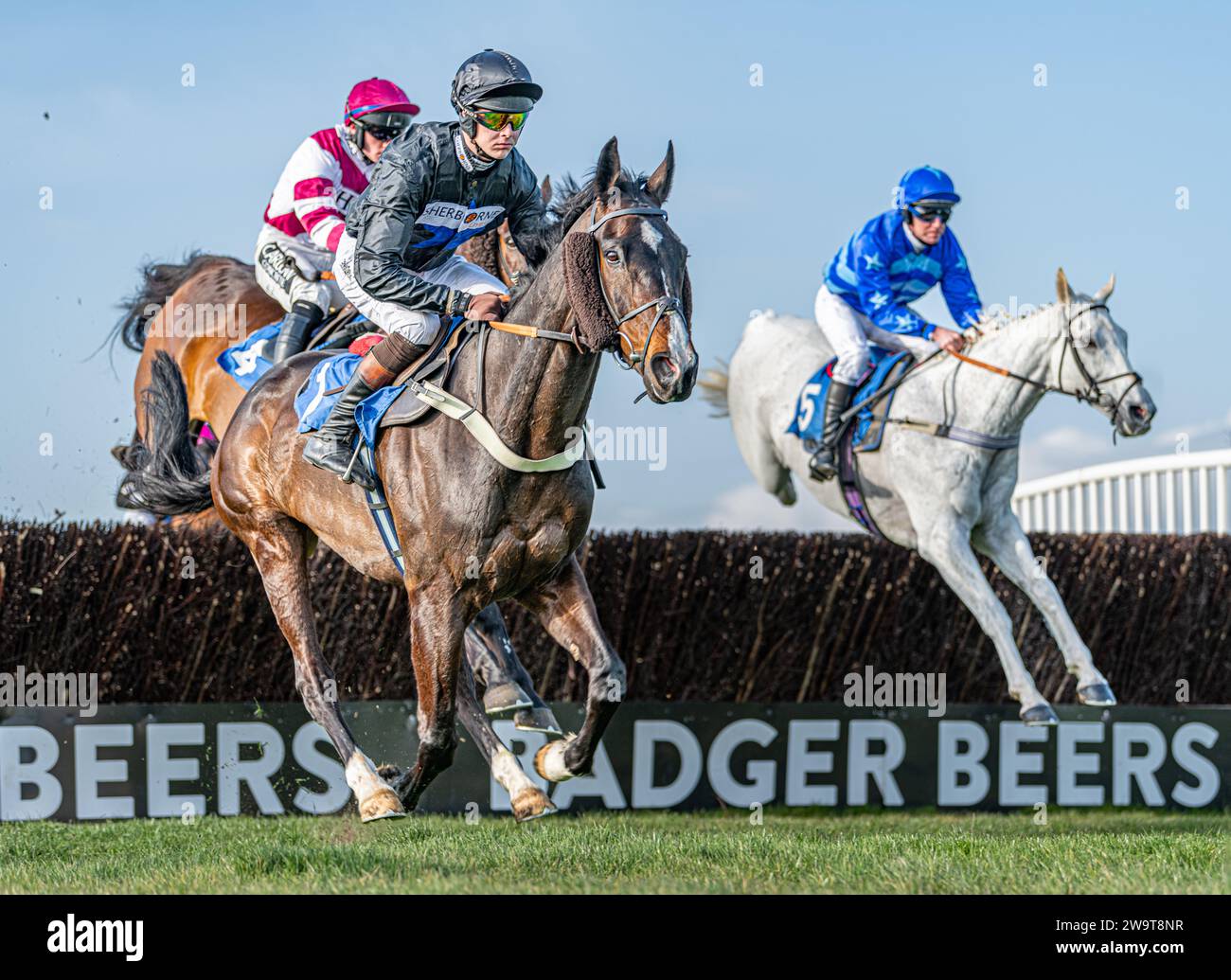 Jeremy scott trained keltus hi-res stock photography and images - Alamy