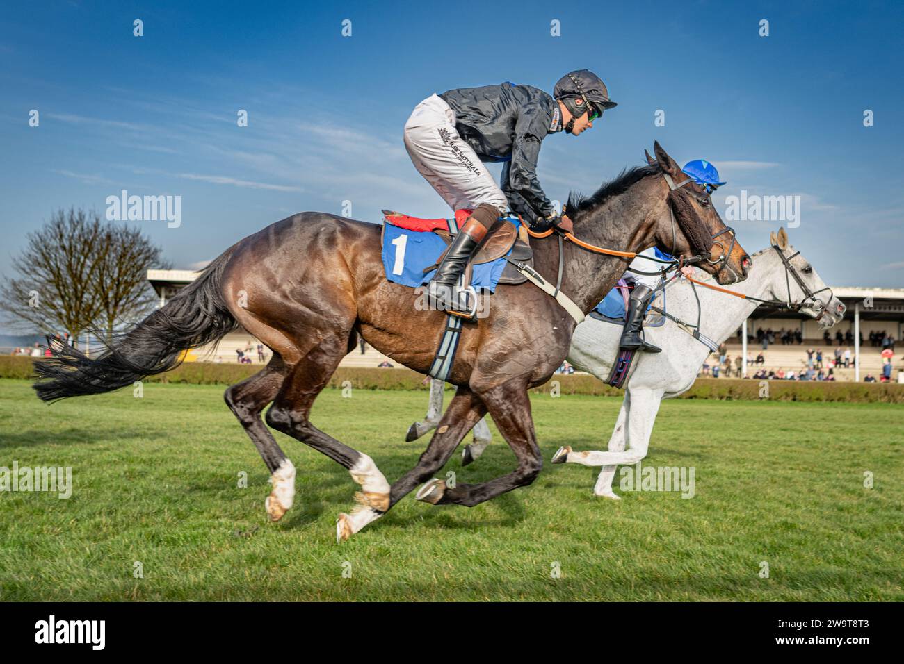 Keltus jumping fences hi-res stock photography and images - Alamy