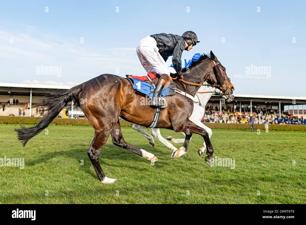 Coup de Pinceau, ridden by Brendan Powell and trained by Colin Tizzard ...