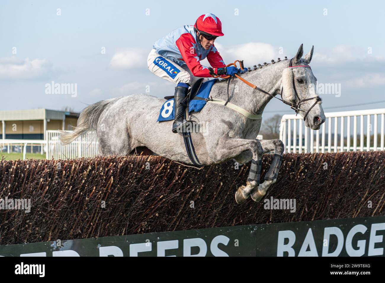 Tikk tock boom and tom scudamore over fence hi-res stock photography ...