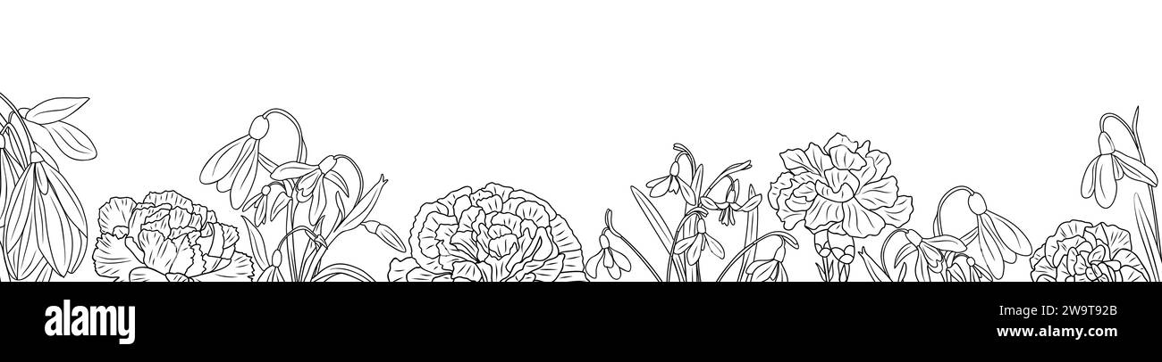 Carnation and snowdrop flowers line art border Stock Vector Image & Art ...