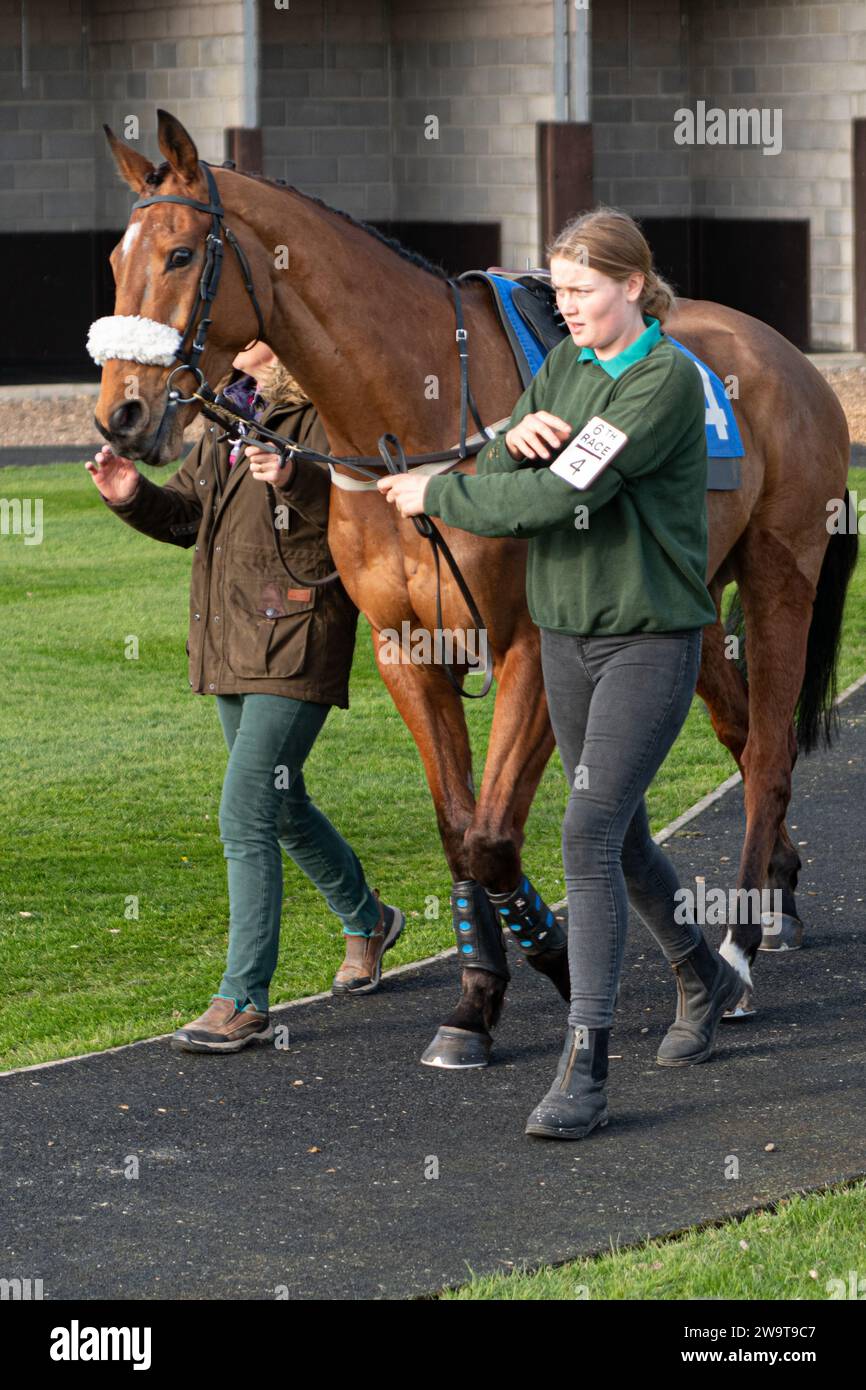 Smith's Bay, ridden by Nick Scholfield trained by Polly Gundry, running ...