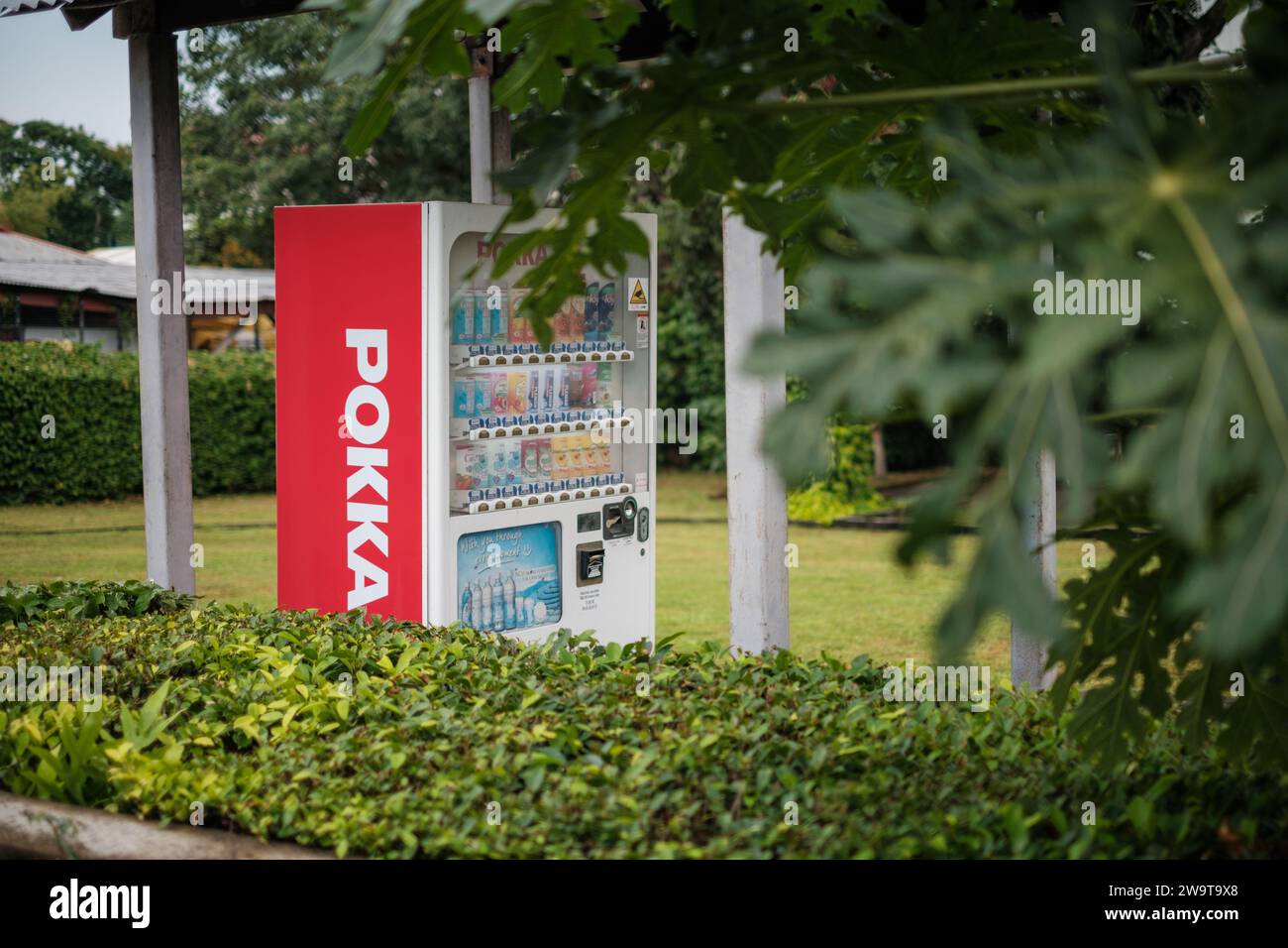 Singapore - July 9 2023: Pokka Vending Machine Behind Vegatation Stock ...