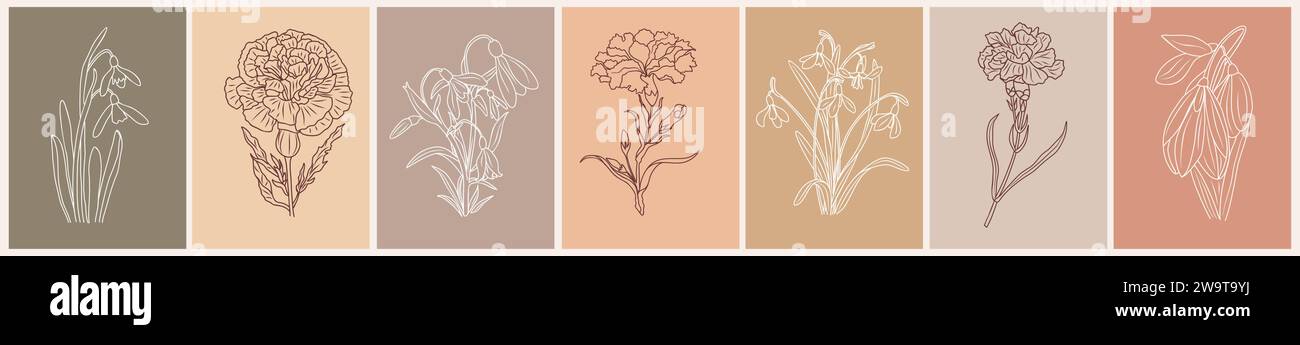 Carnation and snowdrop January birth month flowers Stock Vector Image ...