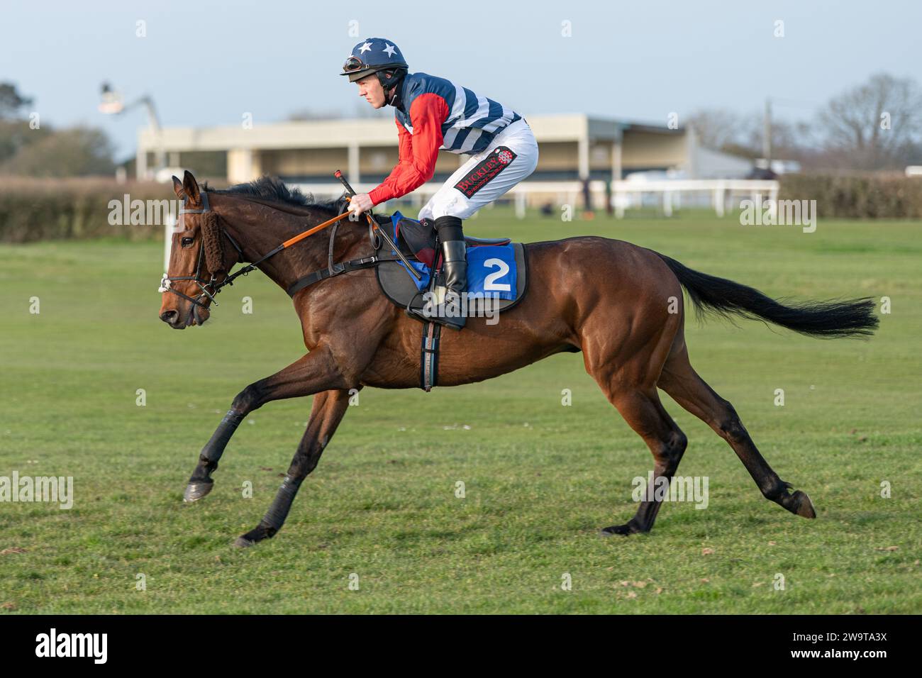 Nigel hawke trained novus aditus hi-res stock photography and images ...