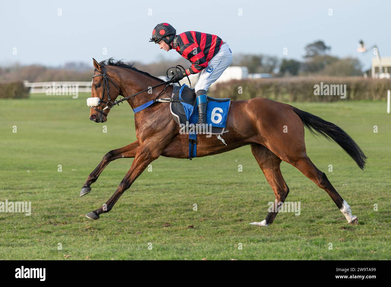 Stan sheppard riding roger rarebit hi-res stock photography and images ...