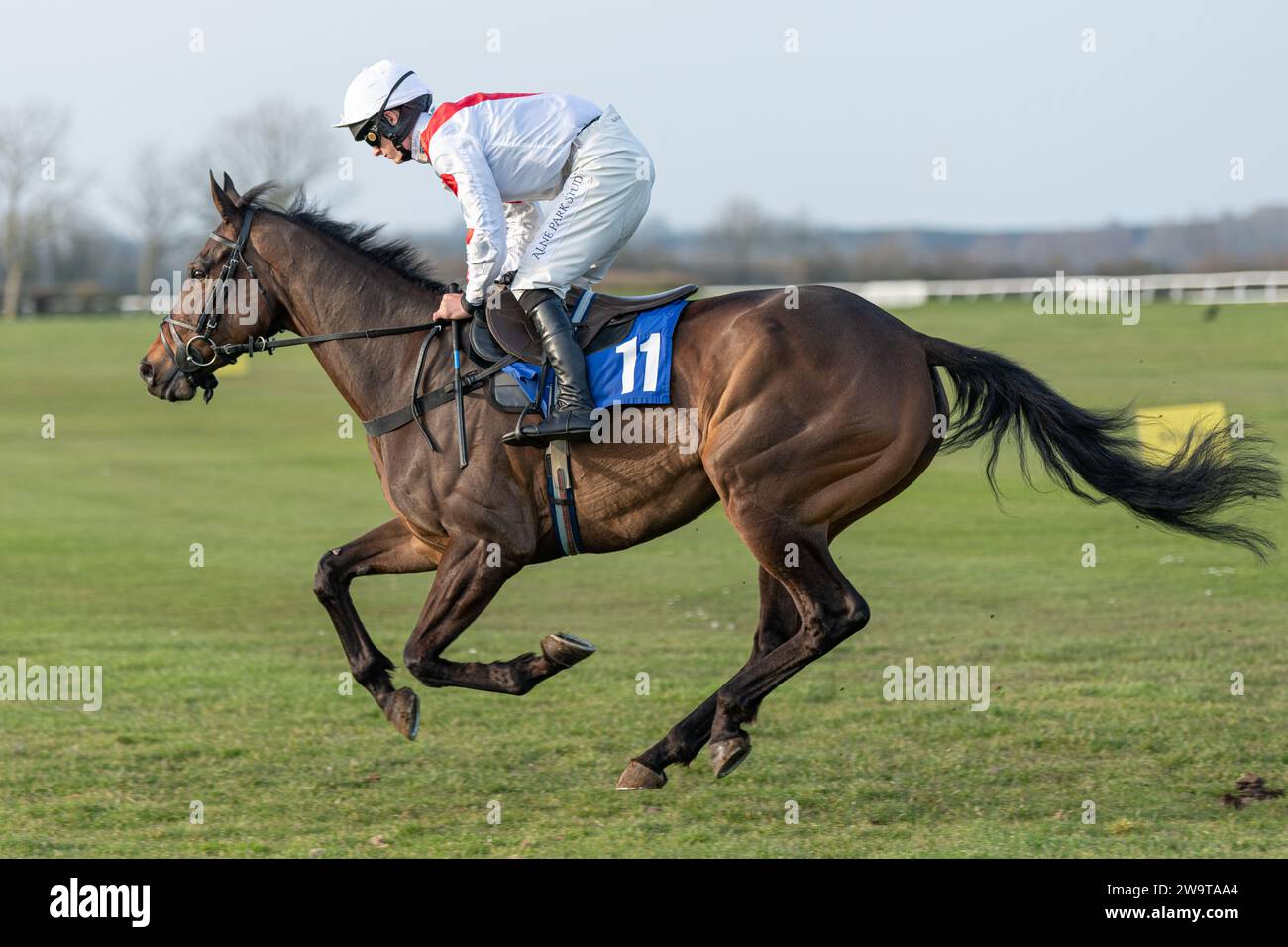 Tristan durrell riding night in manhattan hi-res stock photography and ...