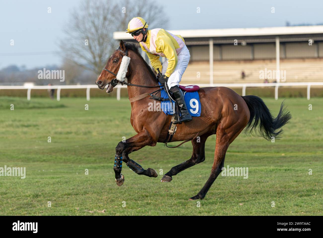 Catchin time jumping hurdles hi-res stock photography and images - Alamy