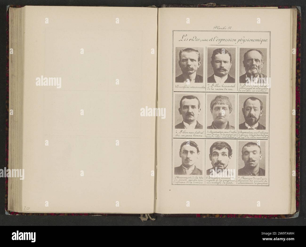 Nine male heads in front view, arranged on their forehead wrinkles ...