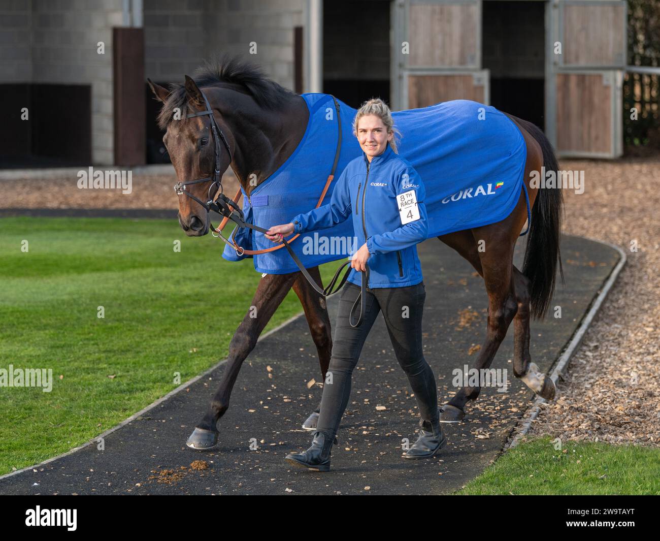 West Orchard, ridden by Brendan Powell and trained by Colin Tizzard ...
