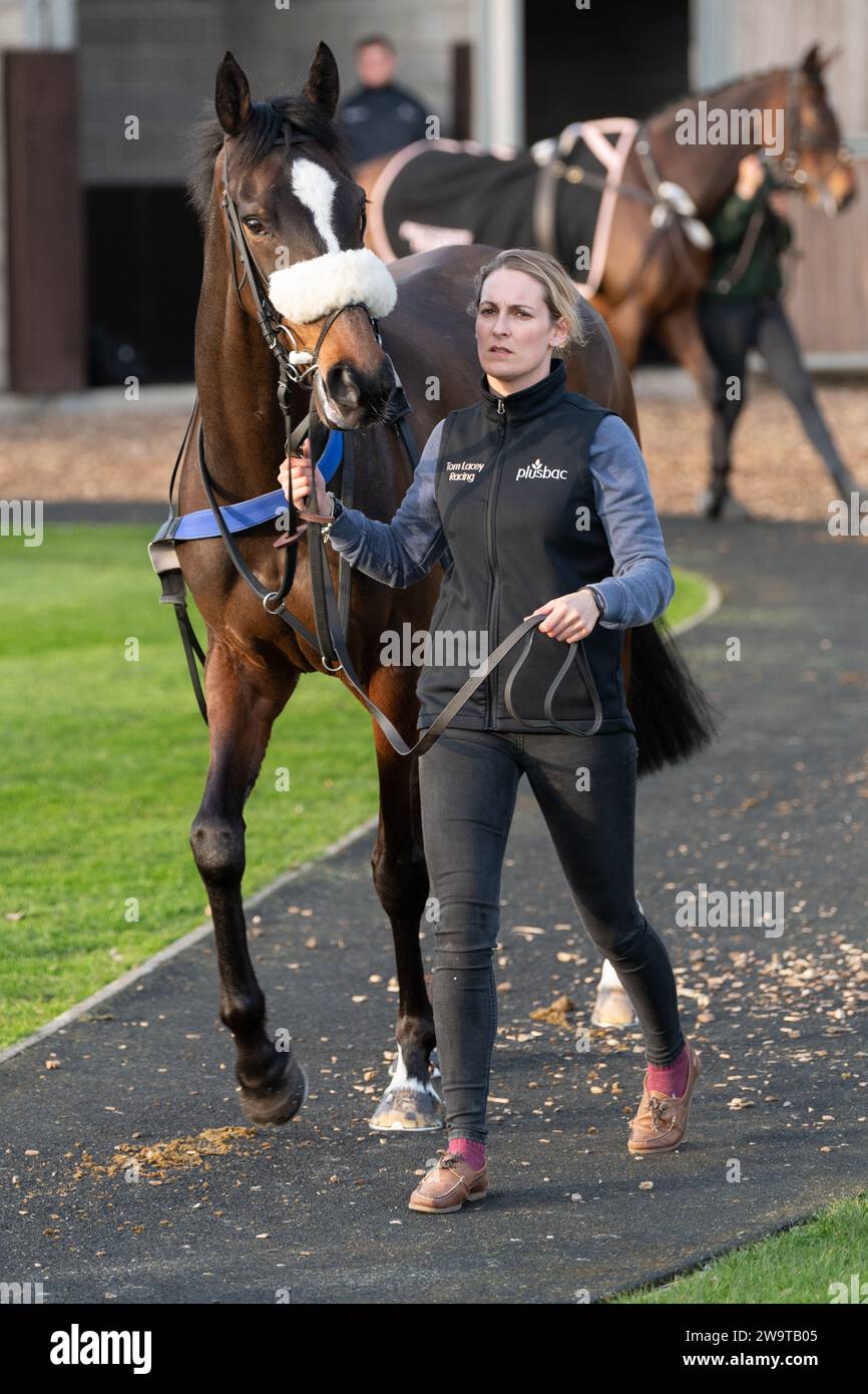 Immortal Flame, ridden by Stan Sheppard and trained by Tom Lacey, in ...