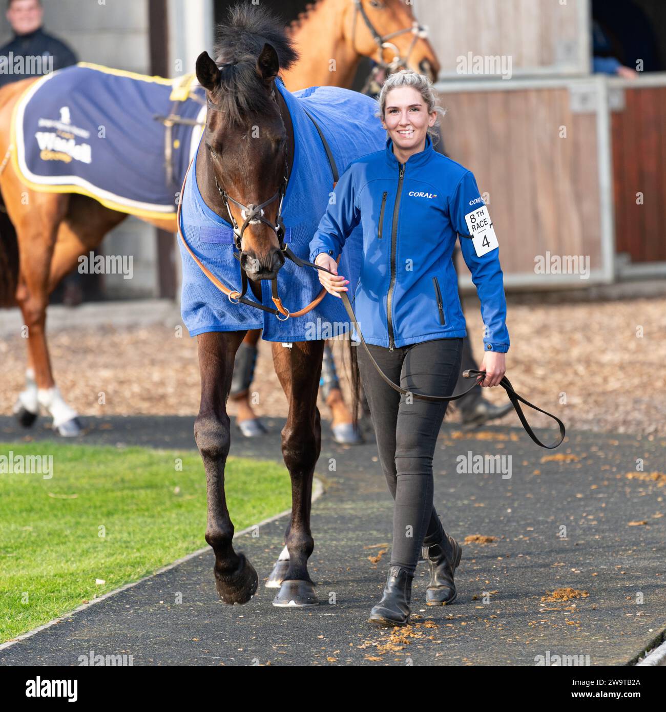 West Orchard, ridden by Brendan Powell and trained by Colin Tizzard ...