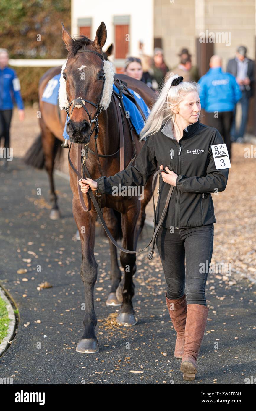 David pipe trained do ya feel lucky hi-res stock photography and images ...