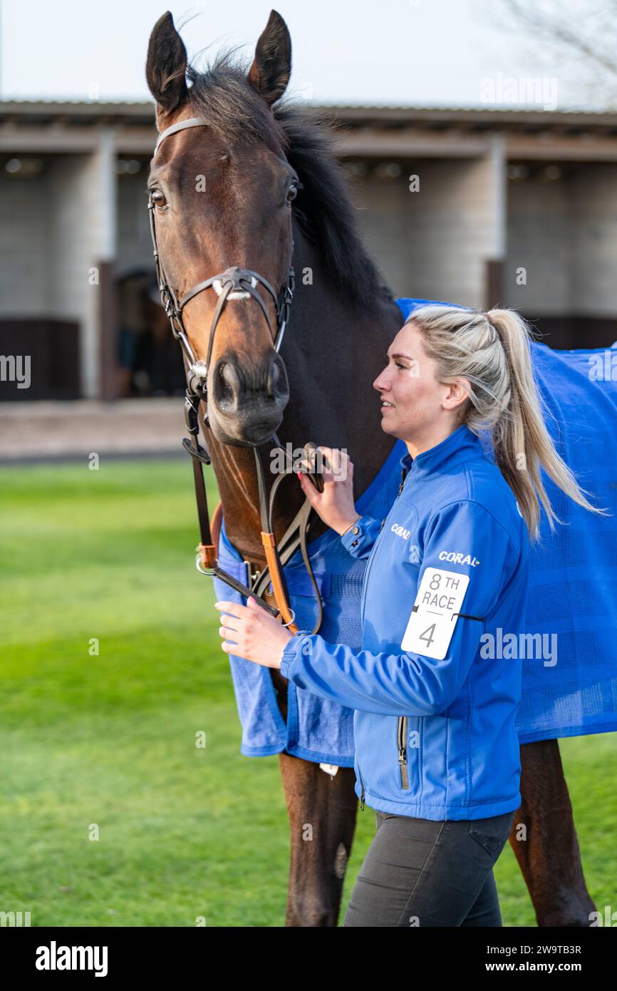 West Orchard, ridden by Brendan Powell and trained by Colin Tizzard ...