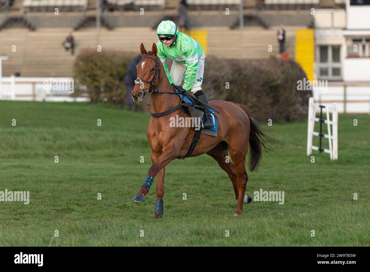 Steady the Ship, ridden by Jonjo O'Neill Jr. and trained by Jonjo O ...