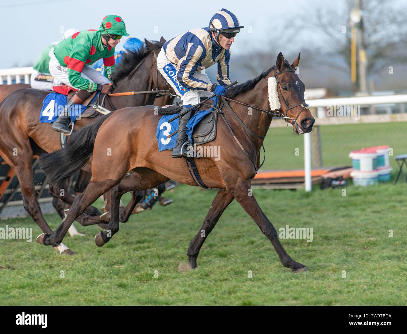 David pipe trained do ya feel lucky hi-res stock photography and images ...