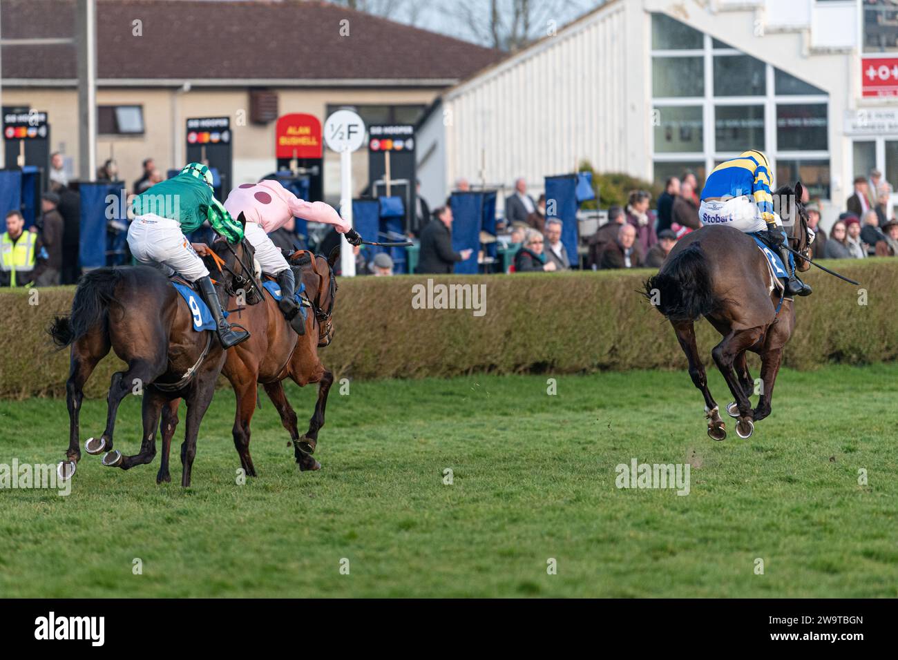 Immortal Fame, ridden by Stan Sheppard and trained by Tom Lacey ...