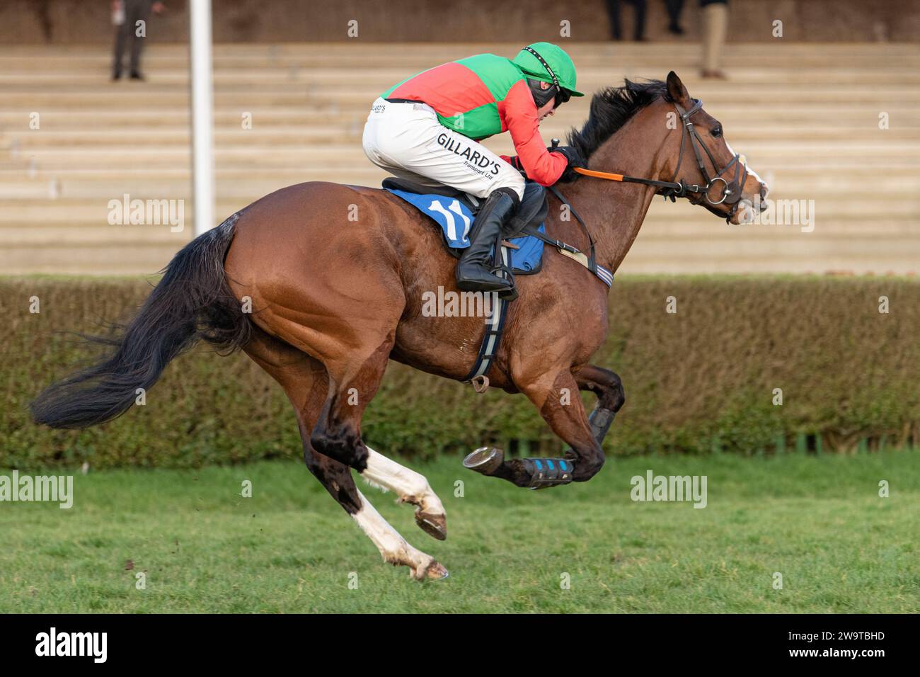 Bees and Honey, ridden by David Noonan and trained by Richard Hawker ...