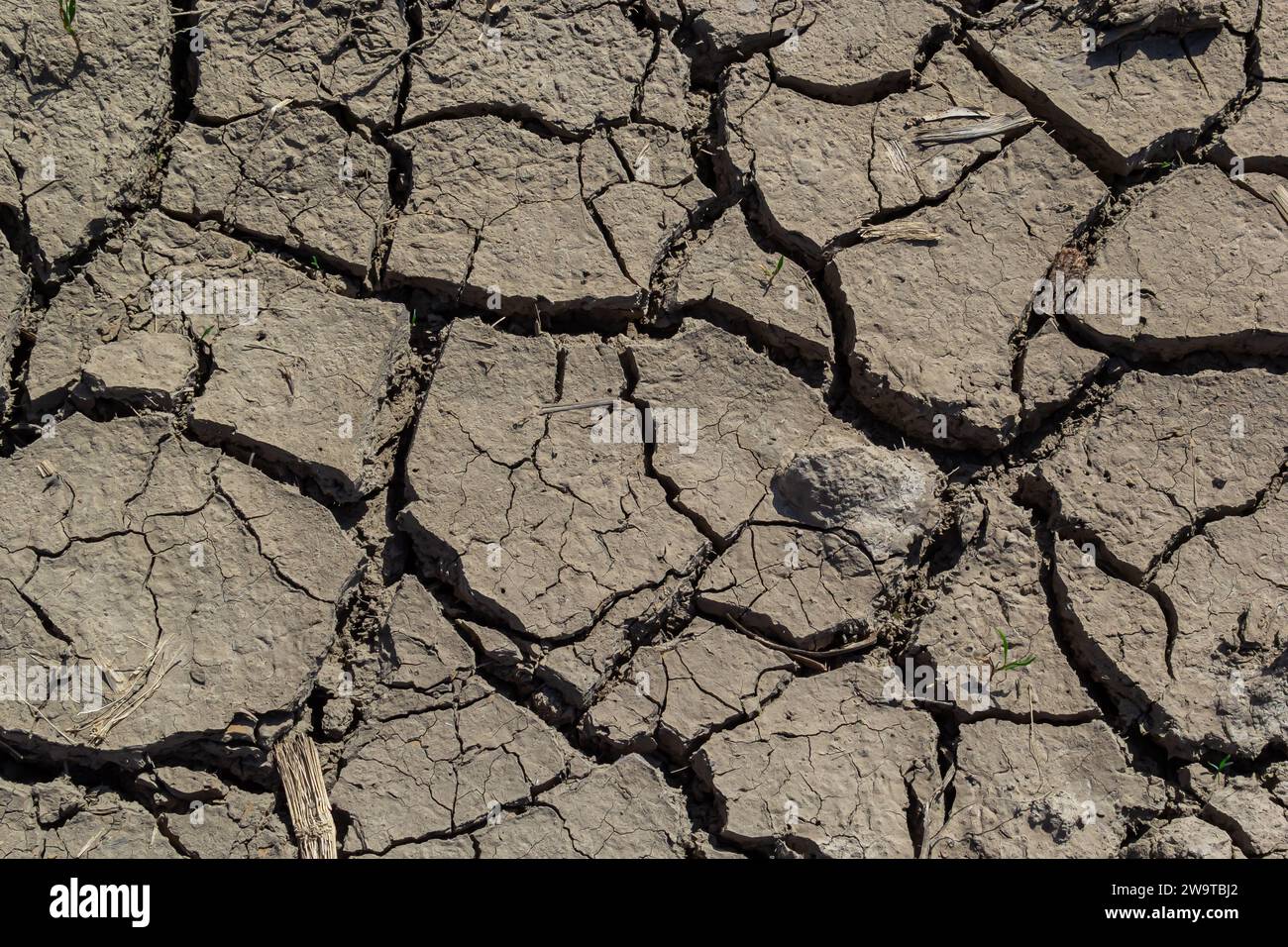 Wall texture soil dry crack pattern of drought lack of water of nature ...