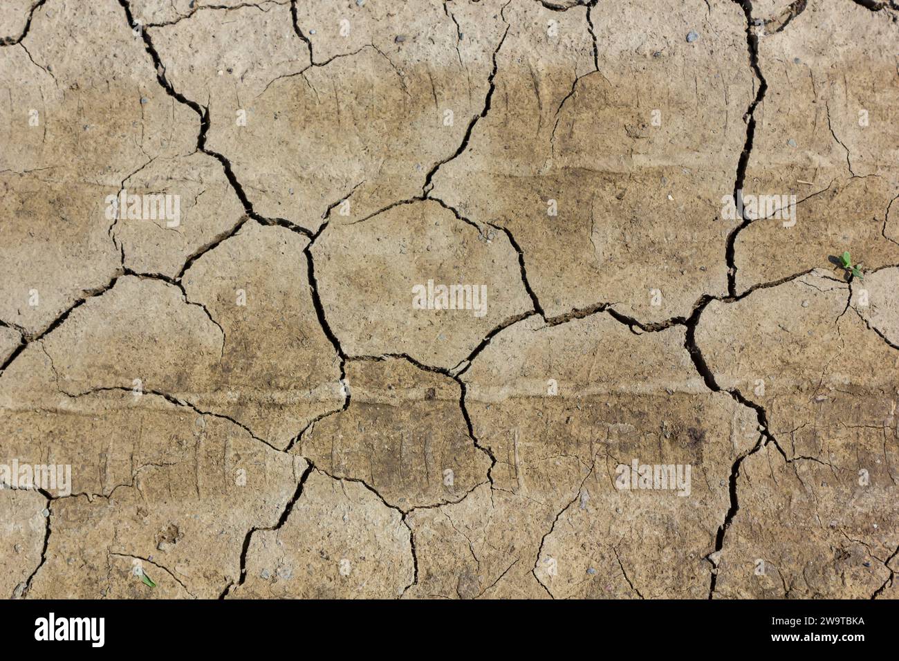 Wall texture soil dry crack pattern of drought lack of water of nature ...