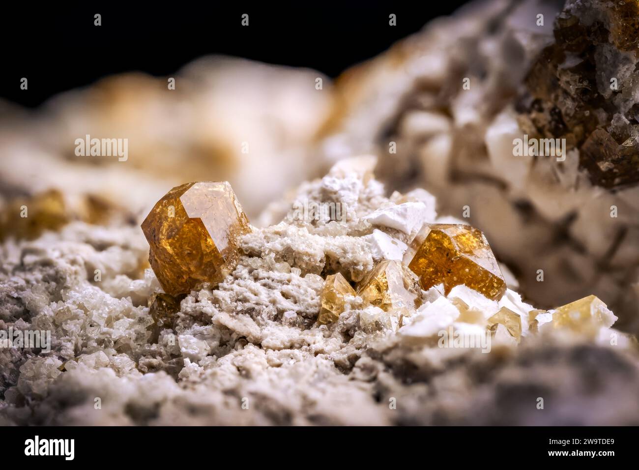 Vesuvianite crystal (known as idocrase too) on white matrix macro ...