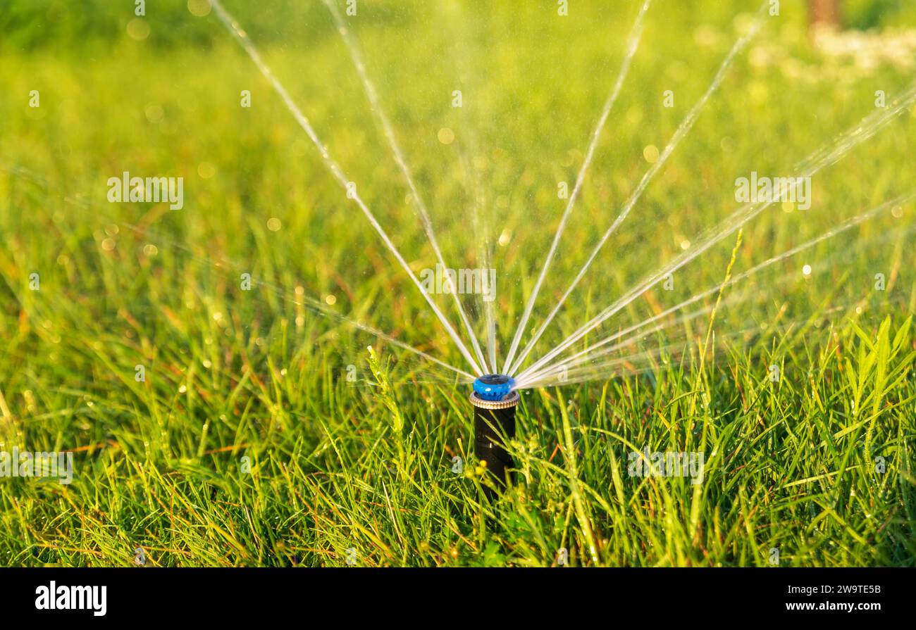 Automatic sprinkler watering the green lawn in the park. Irrigation ...