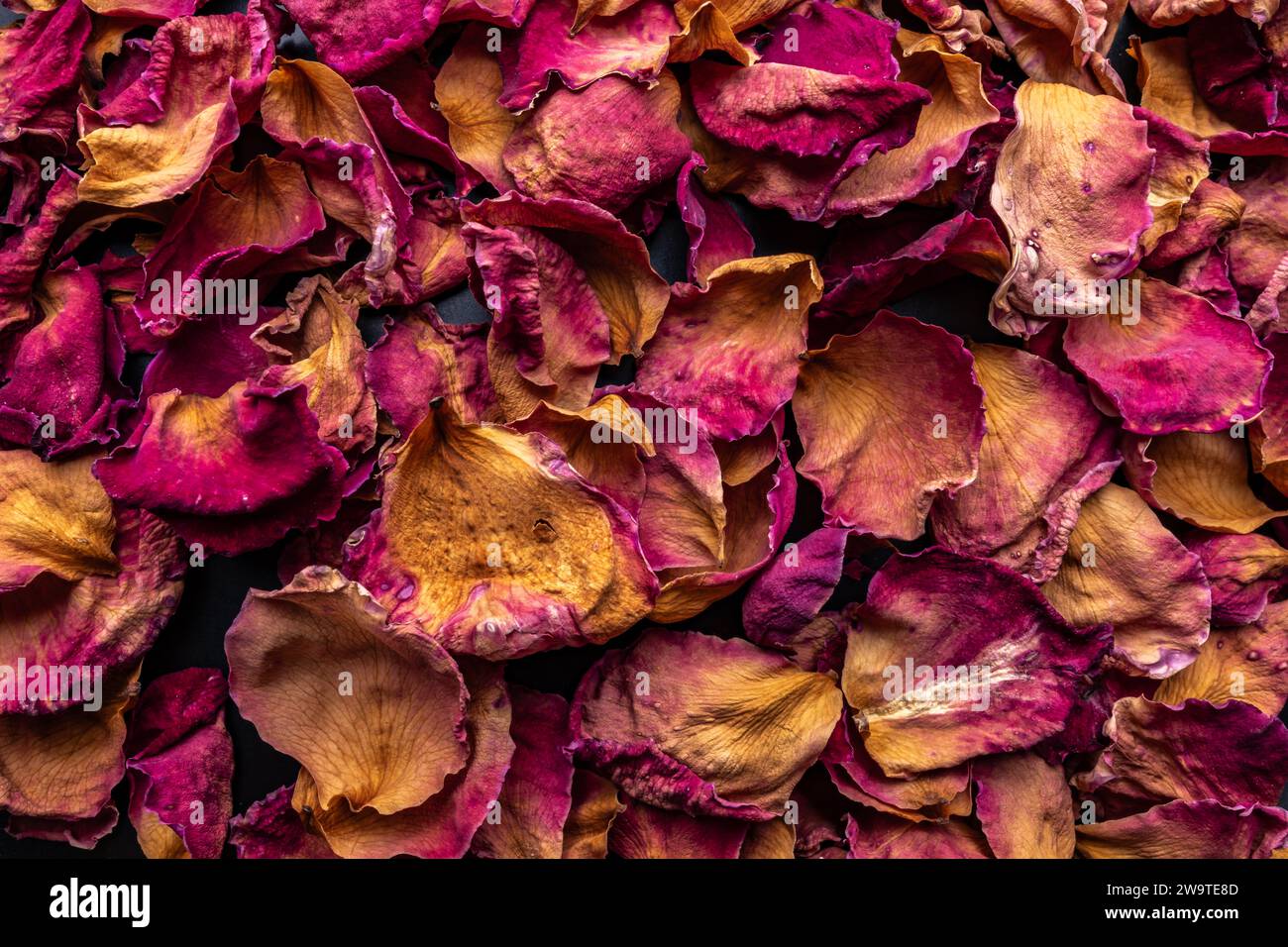 Petal contrast hi-res stock photography and images - Alamy