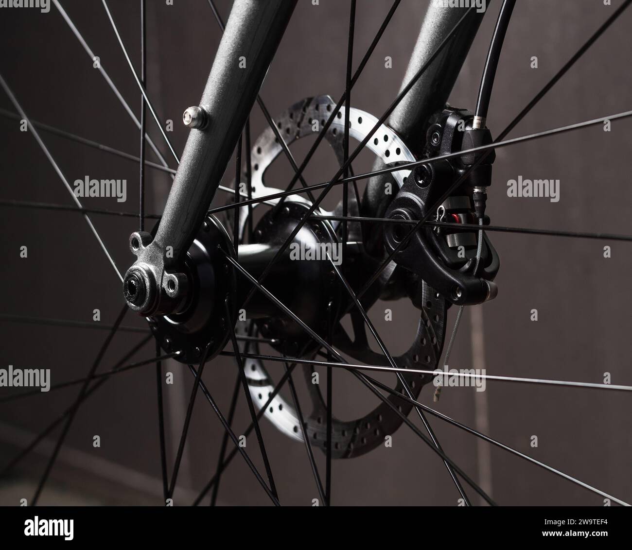 Front part of a bicycle with a disc brake system, close-up Stock Photo ...