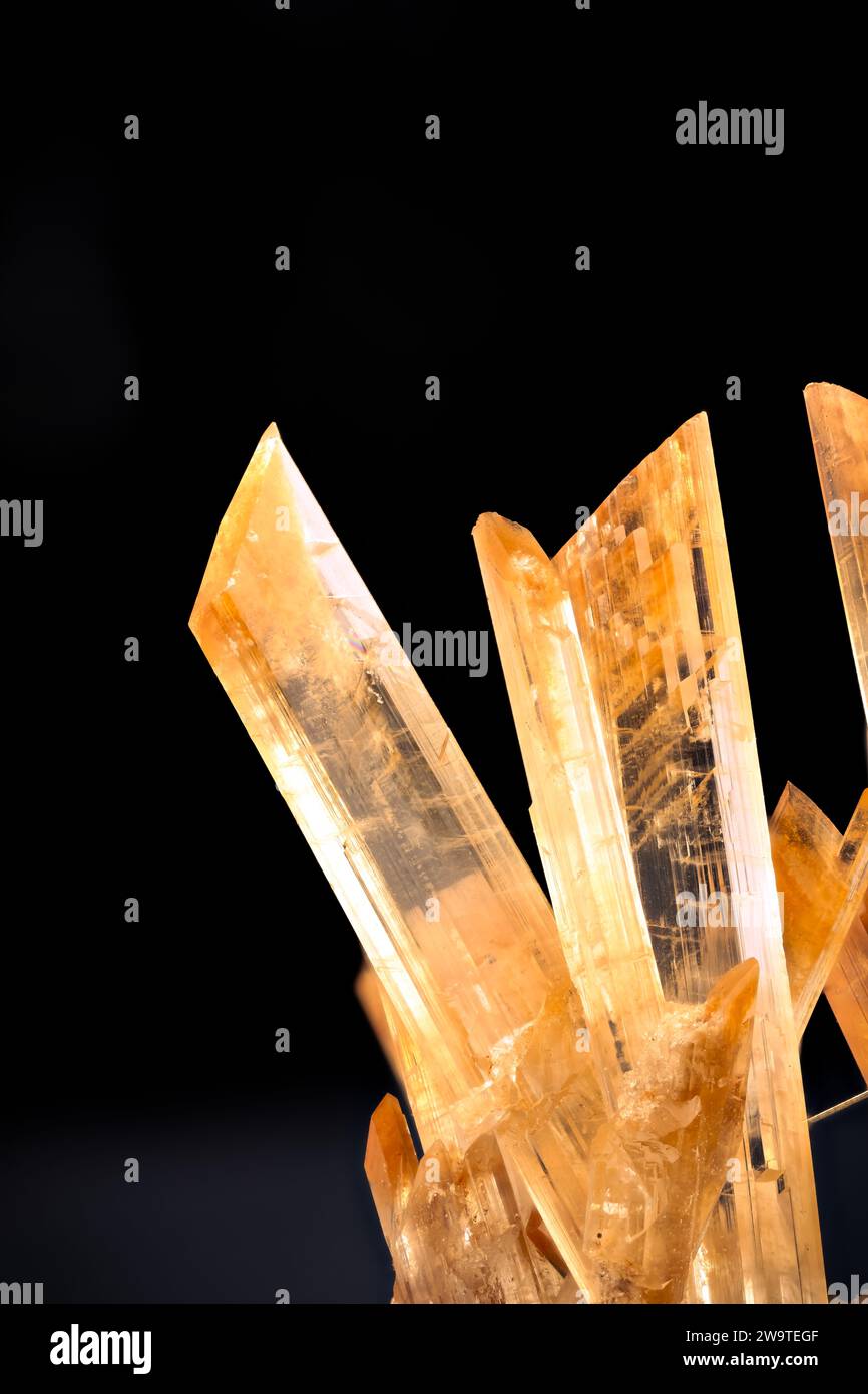 yellow selenite (gypsum) crystal, macro detail texture background ...