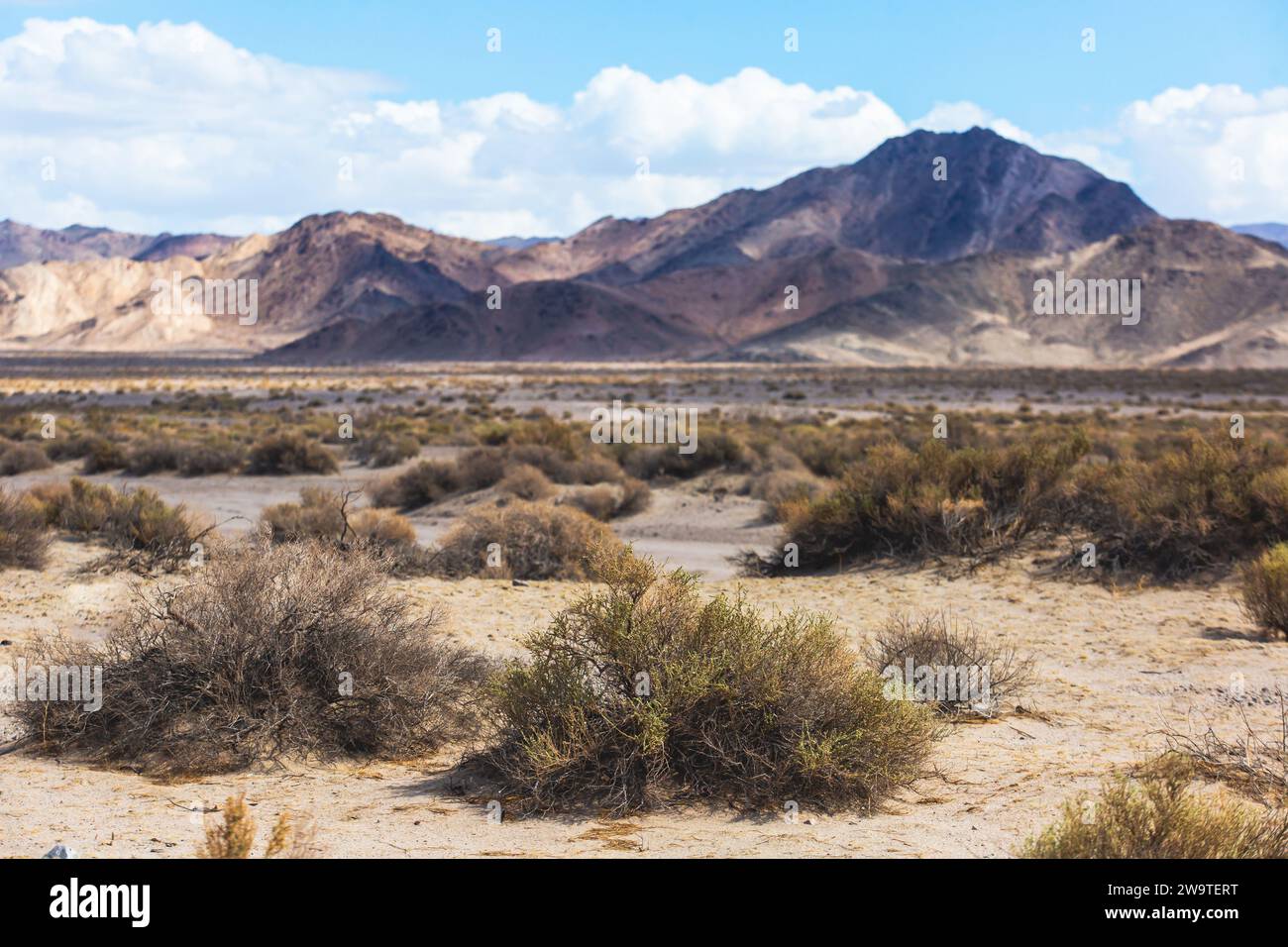 View of Mojave Desert national reserve landscape, an arid rain-shadow ...