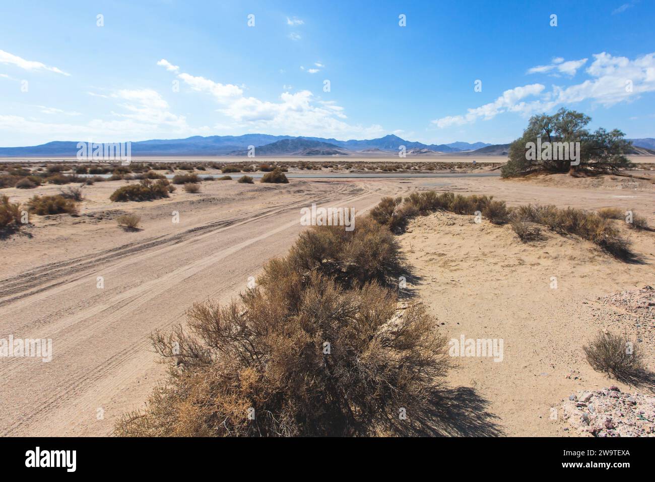 View of Mojave Desert national reserve landscape, an arid rain-shadow ...