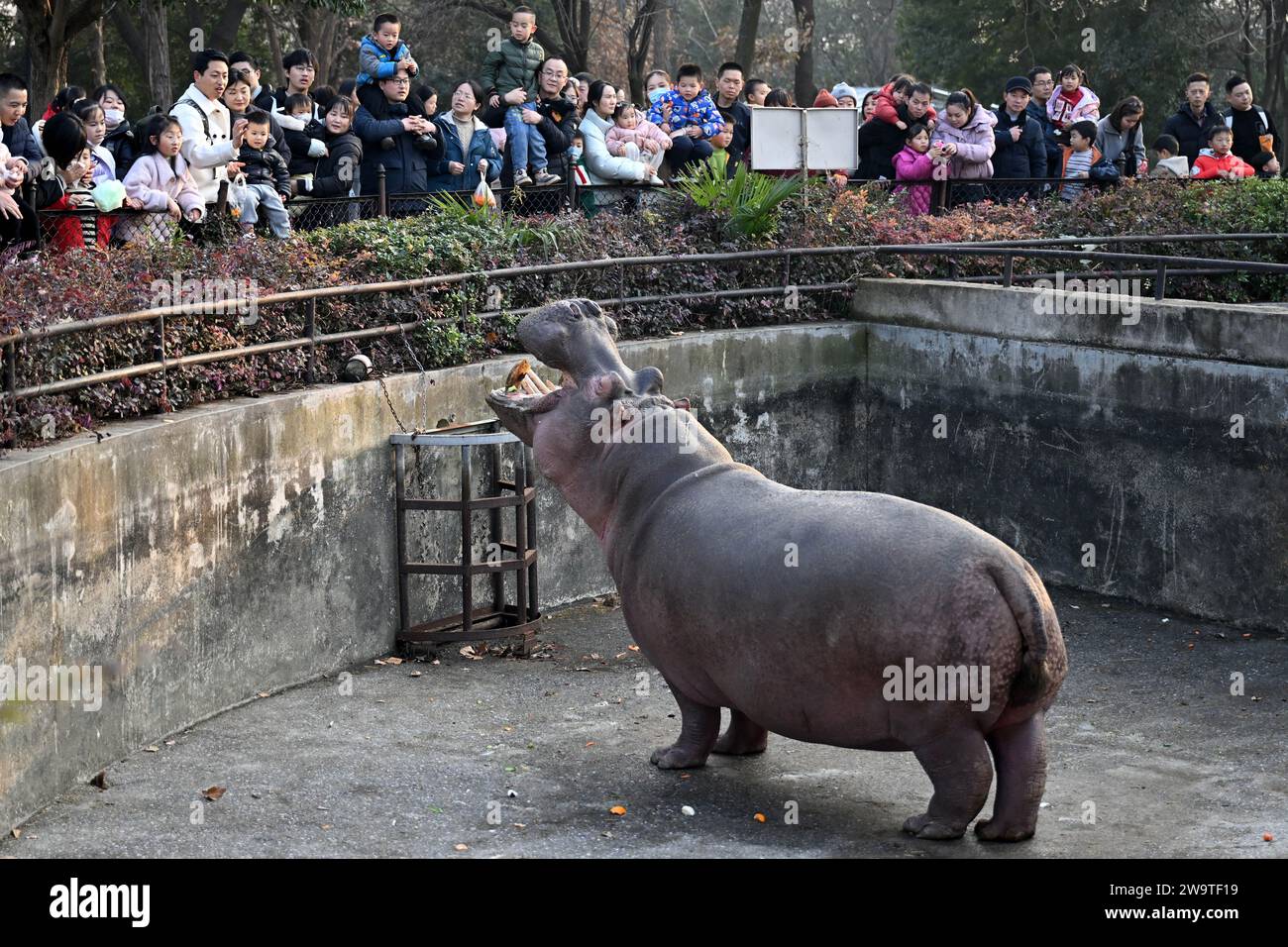 Hefei, China's Anhui Province. 30th Dec, 2023. Tourists look at a ...