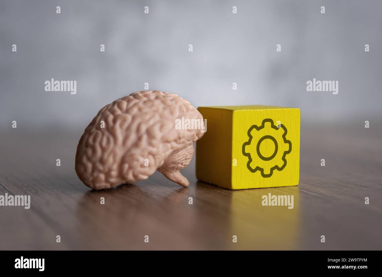Human brain and wooden block with cogwheel icon. Cognitive thinking ...