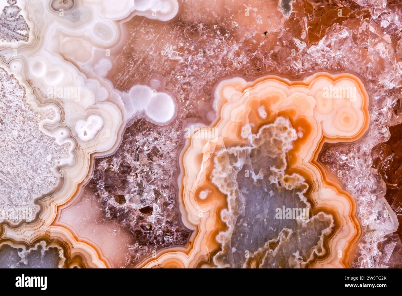 agate, quartz geode in petrified wood photography. macro detail texture ...