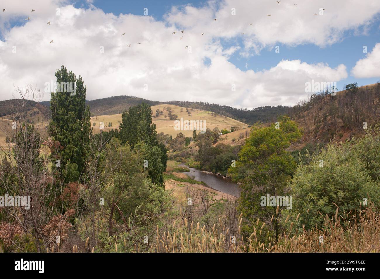 Tambo river victoria hi-res stock photography and images - Alamy