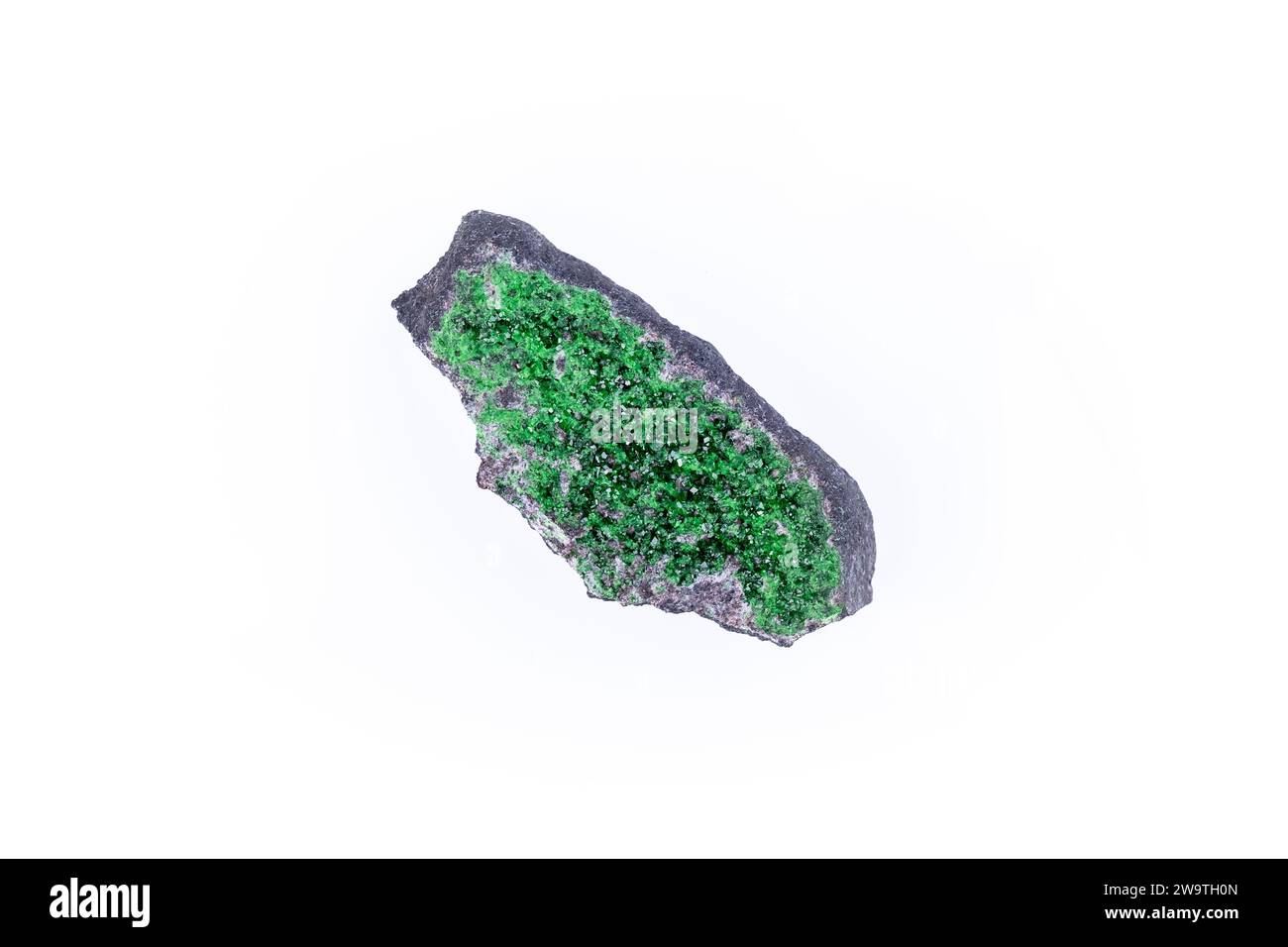 Uvarovite crystal macro detail white isolated background. close-up ...