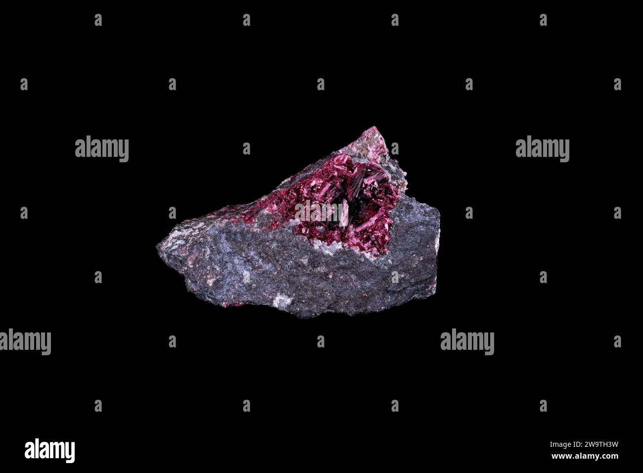 Red conalt hi-res stock photography and images - Alamy