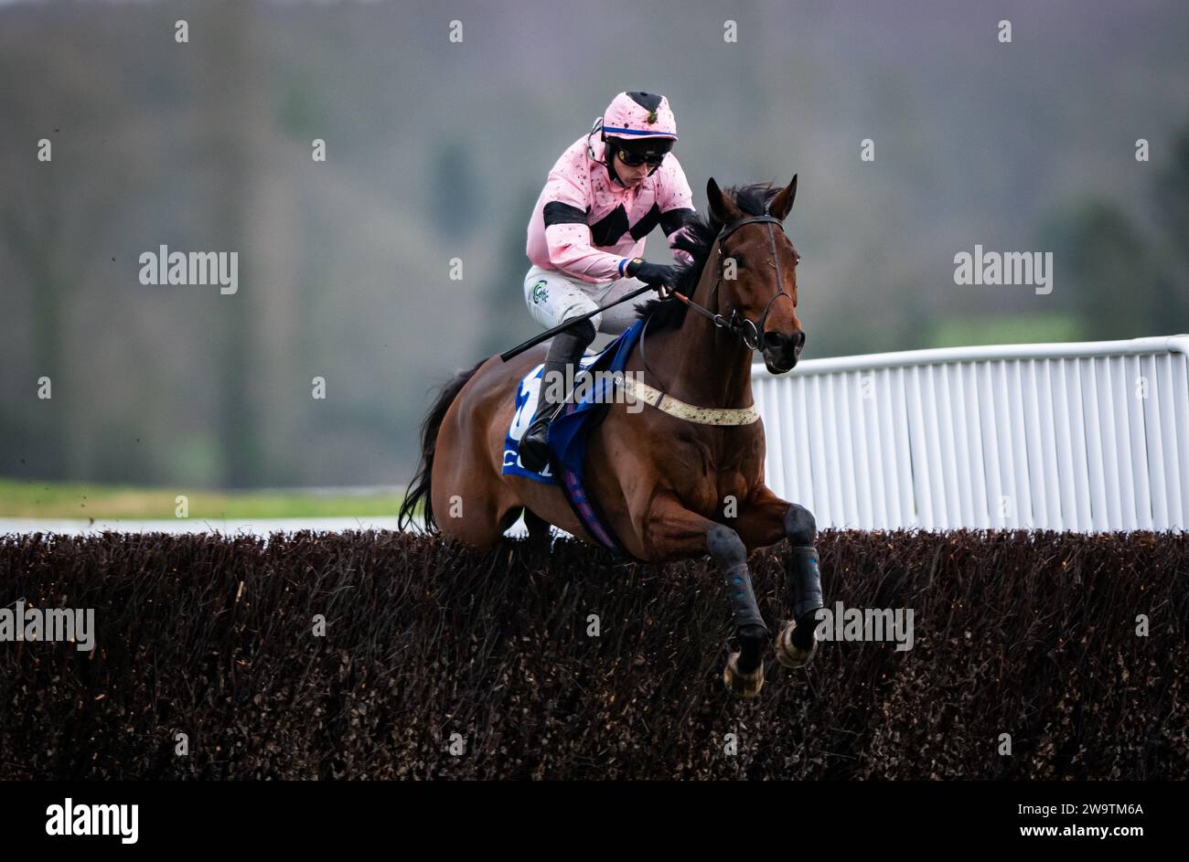 Issar D'Airy and Niall Houlihan take the New Bet-In-Race With Coral ...