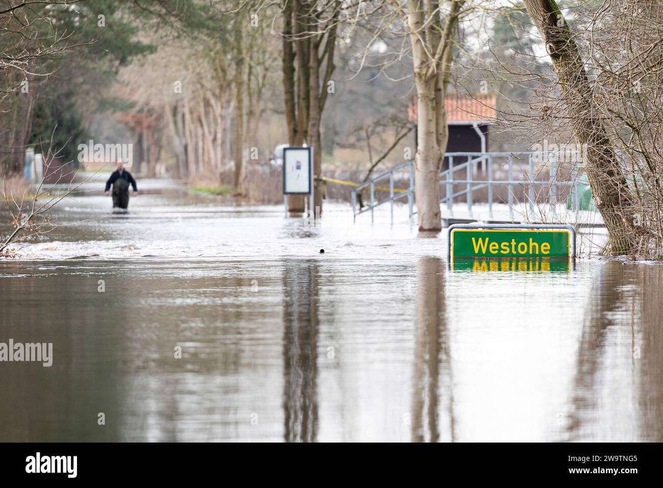 Wasserpegel Winsen Aller