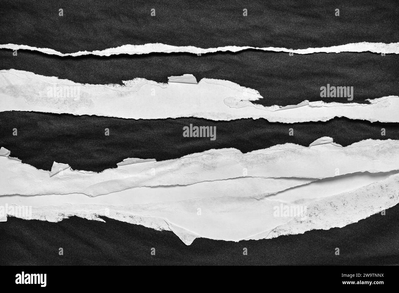 Black and White Torn Paper Collage Style, Ripped Paper Effect, Texture ...