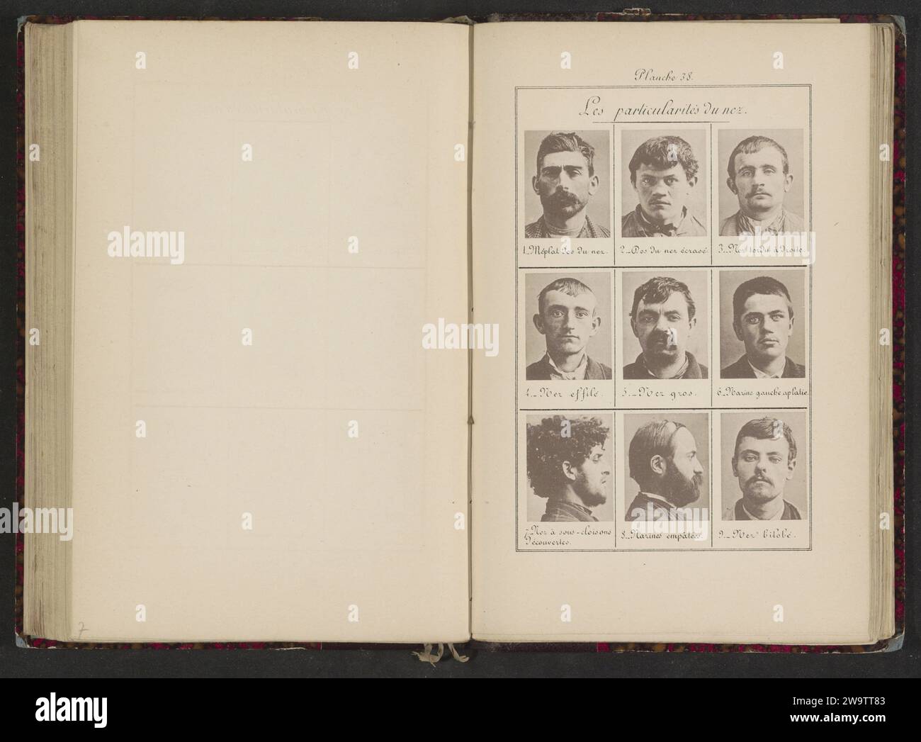 Nine male heads, c. 1880 - in or before 1893 photomechanical print ...