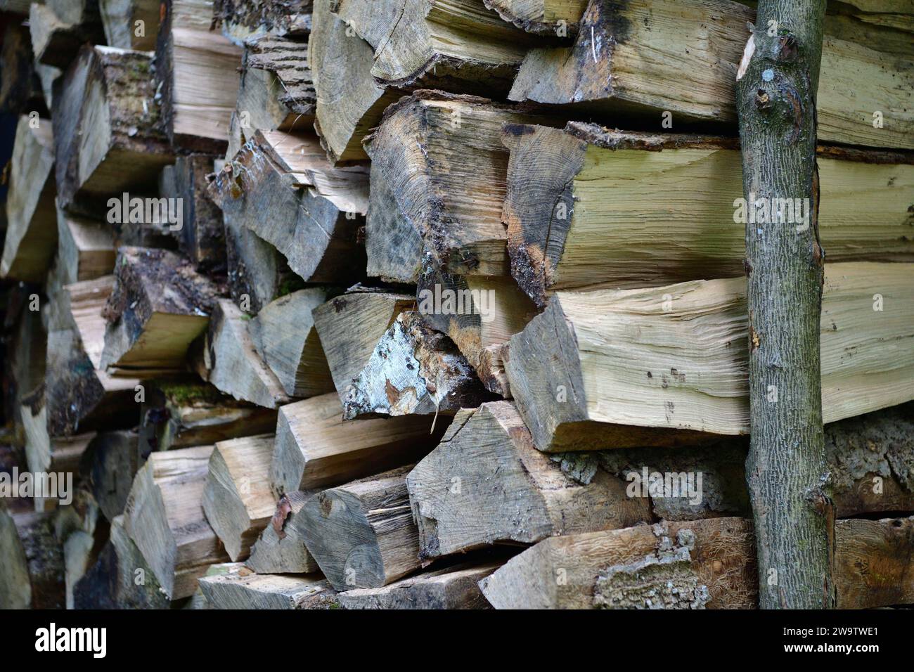 A pile of chopped wood in an orchard in the village Stock Photo - Alamy