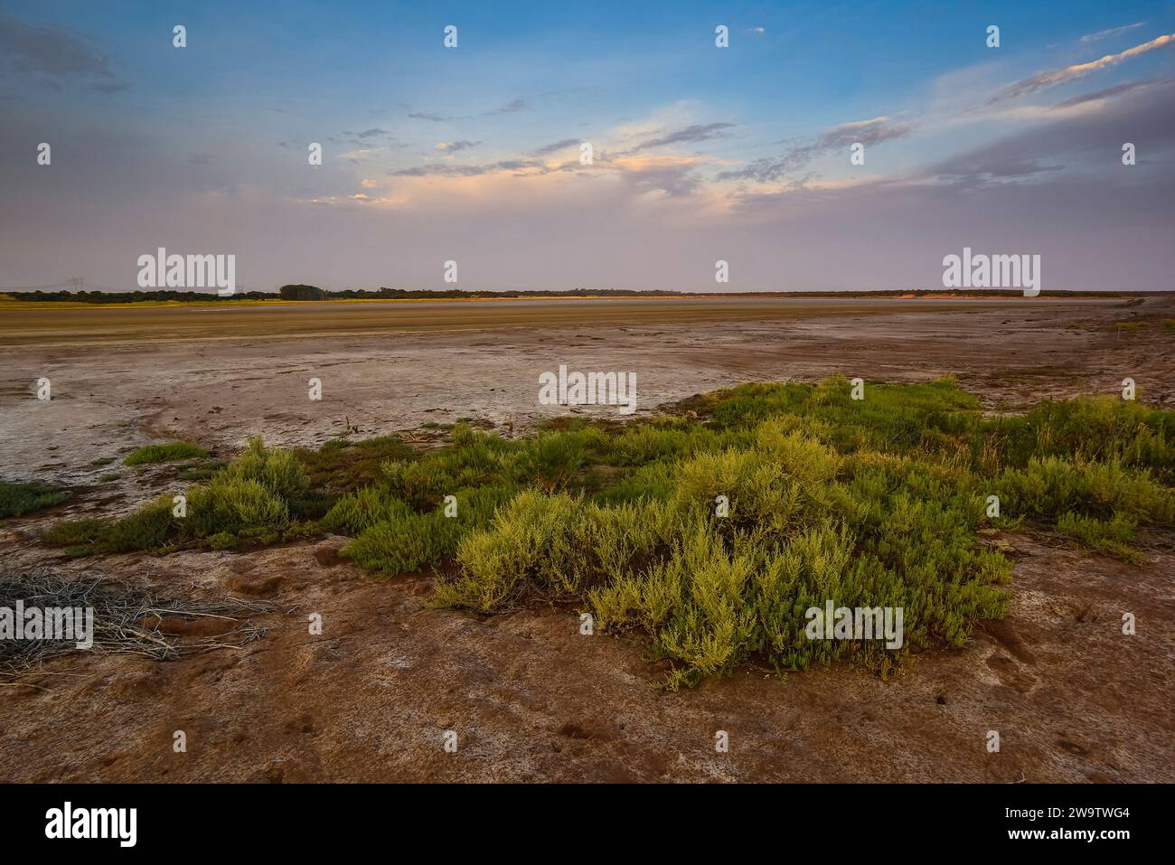 Desert environment in La Pampa province, Patagonia, Argentina Stock ...