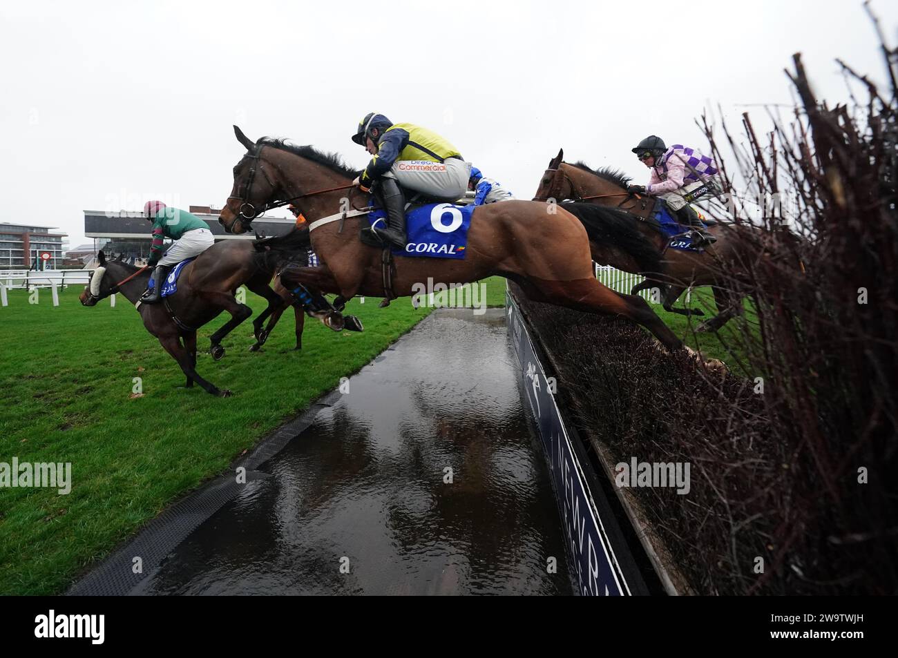 Coral mandarin handicap chase hi-res stock photography and images - Alamy