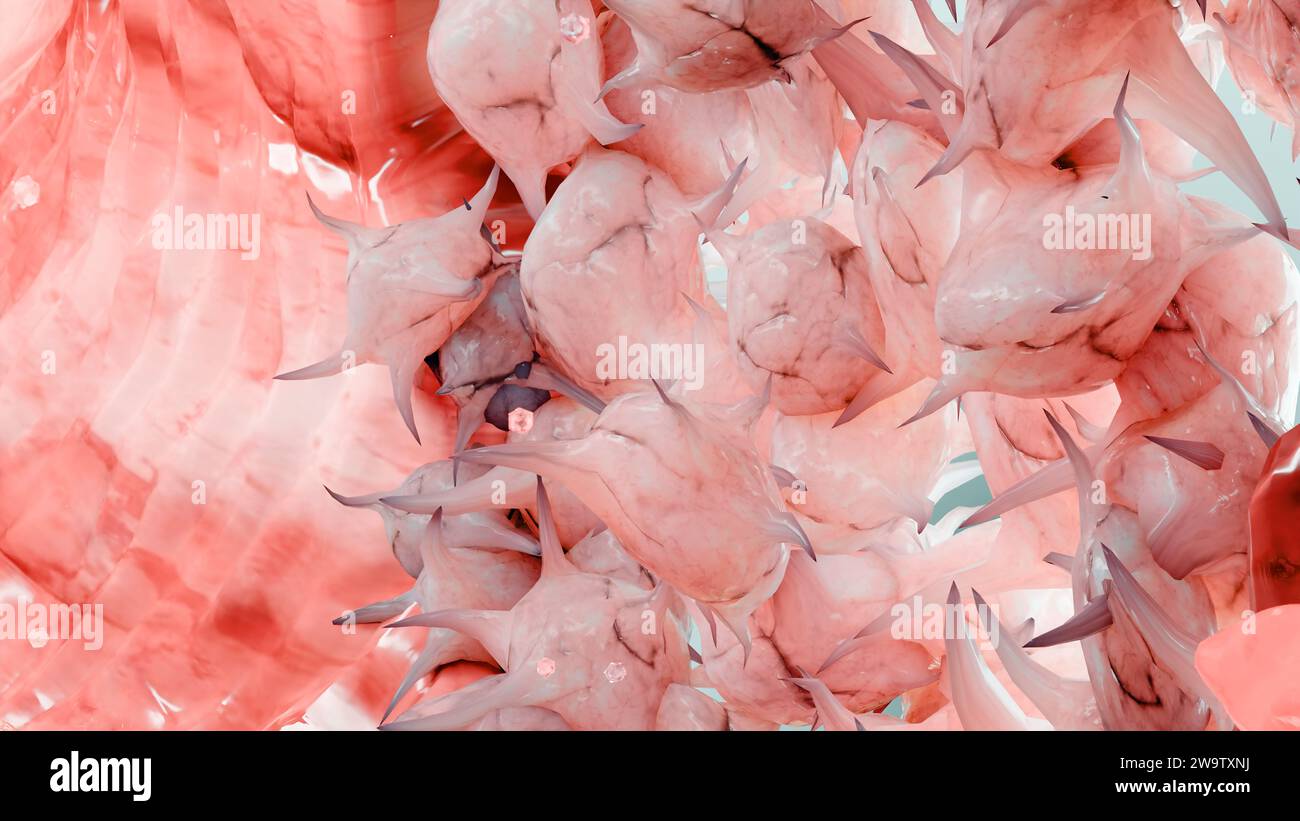 Hemostasis. Red blood cells and platelets in the blood vessel ...